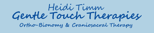 Heidi Timm - Gentle Touch Therapies